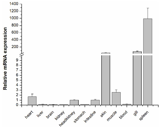 Molecular Characterization, Expression, and Regulatory Signal Pathway ...