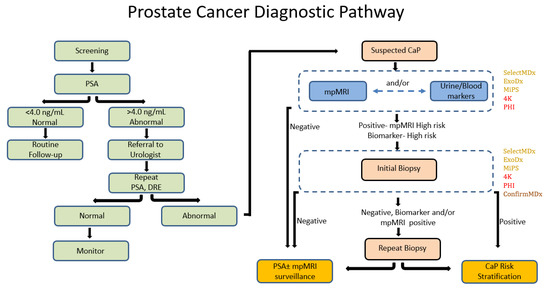 Biomarkers of Aggressive Prostate Cancer at Diagnosis