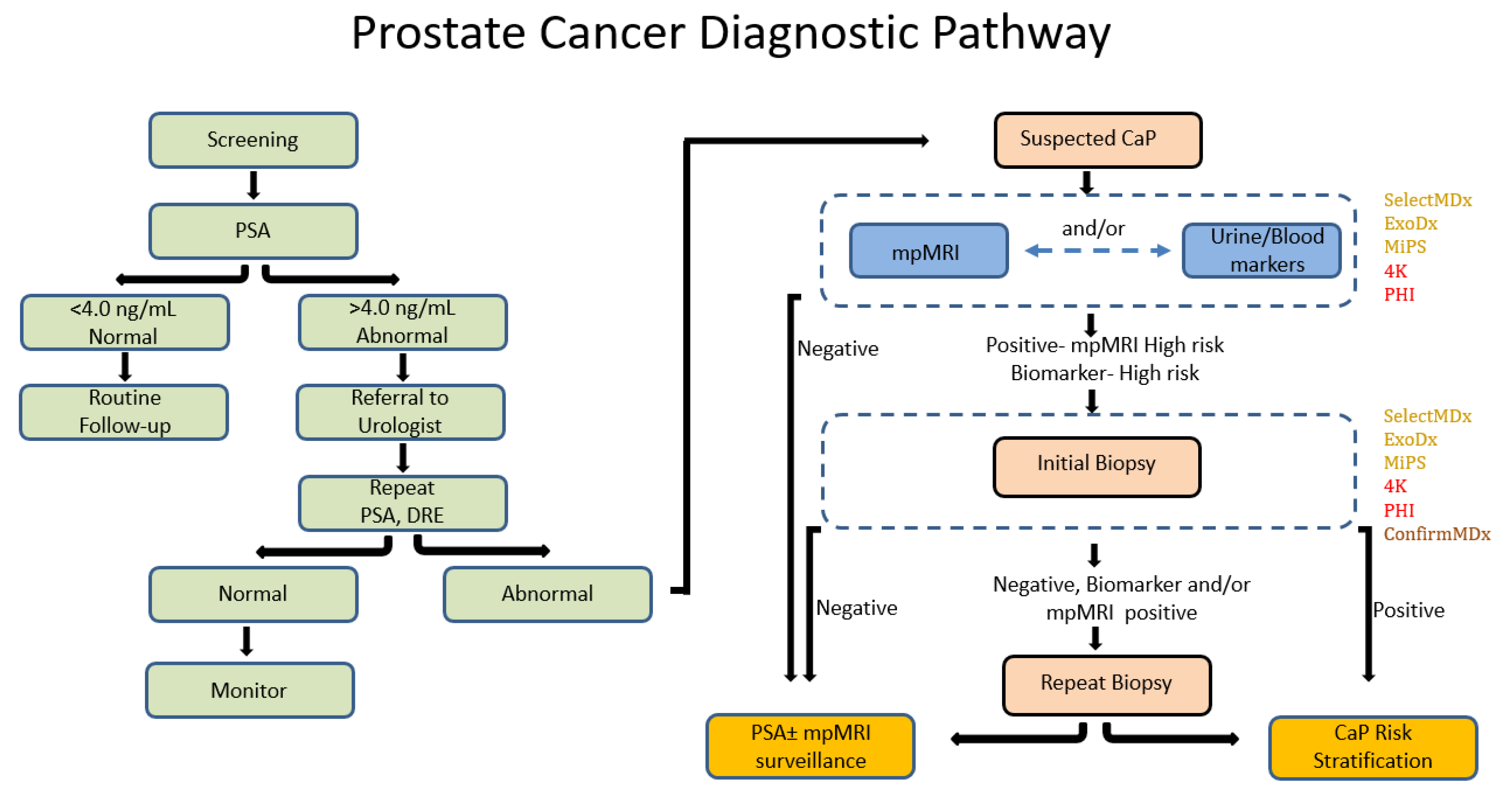 Prostate Cancer Treatment Algorithm