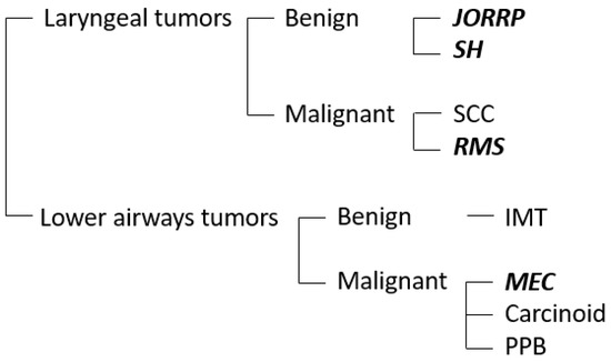 Molecular Mechanisms of Carcinogenesis in Pediatric Airways Tumors