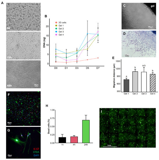 Characterization and Safety Profile of a New Combined Advanced ...