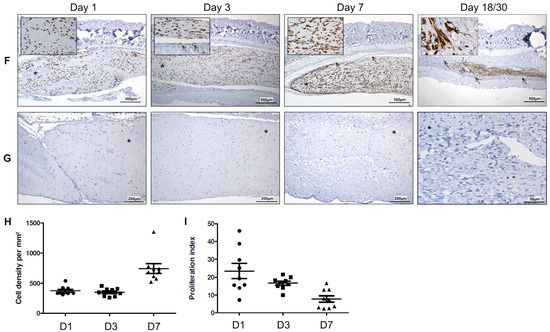 Characterization and Safety Profile of a New Combined Advanced ...