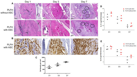 Characterization and Safety Profile of a New Combined Advanced ...