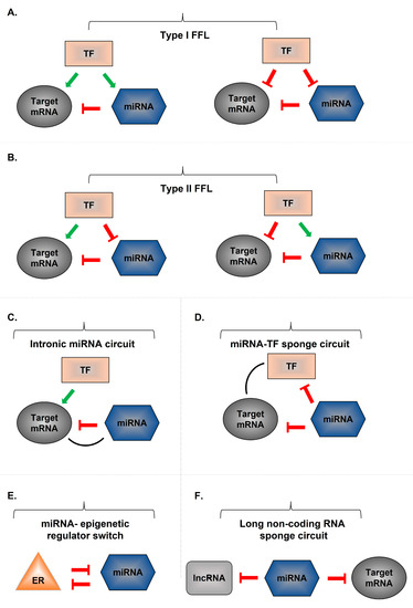 miRNA Molecules—Late Breaking Treatment for Inflammatory Bowel Diseases?