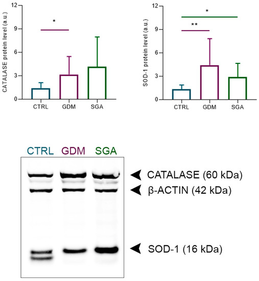 Gestational Diabetes Mellitus and Small-for-Gestational-Age: An Insight ...