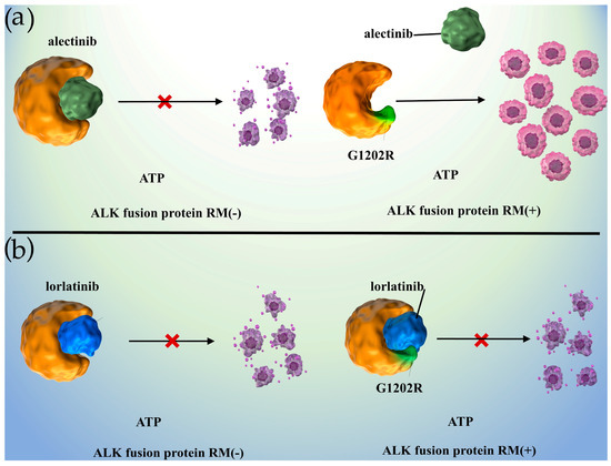 Comparative Efficacy of ALK Inhibitors for Treatment-Naïve ALK-Positive ...