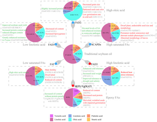 Bioengineering of Soybean Oil and Its Impact on Agronomic Traits
