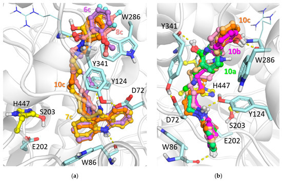 Conjugates of Tacrine and Salicylic Acid Derivatives as New Promising ...