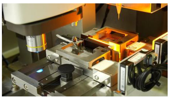 Detection of Circulating Tumor Cell-Related Markers in Gynecologic ...