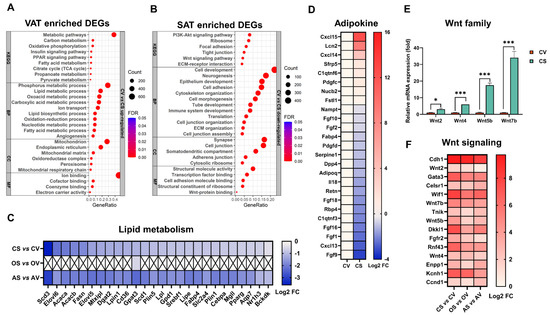 Mechanic Insight into the Distinct and Common Roles of Ovariectomy ...
