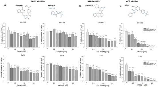 The ATR Inhibitor VE-821 Enhances the Radiosensitivity and Suppresses ...