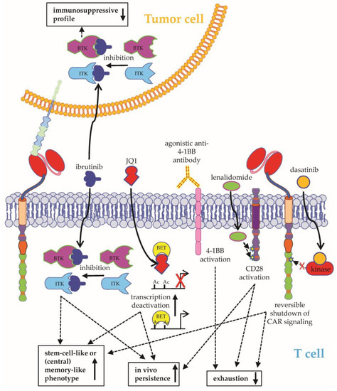 CARs and Drugs: Pharmacological Ways of Boosting CAR-T-Cell Therapy