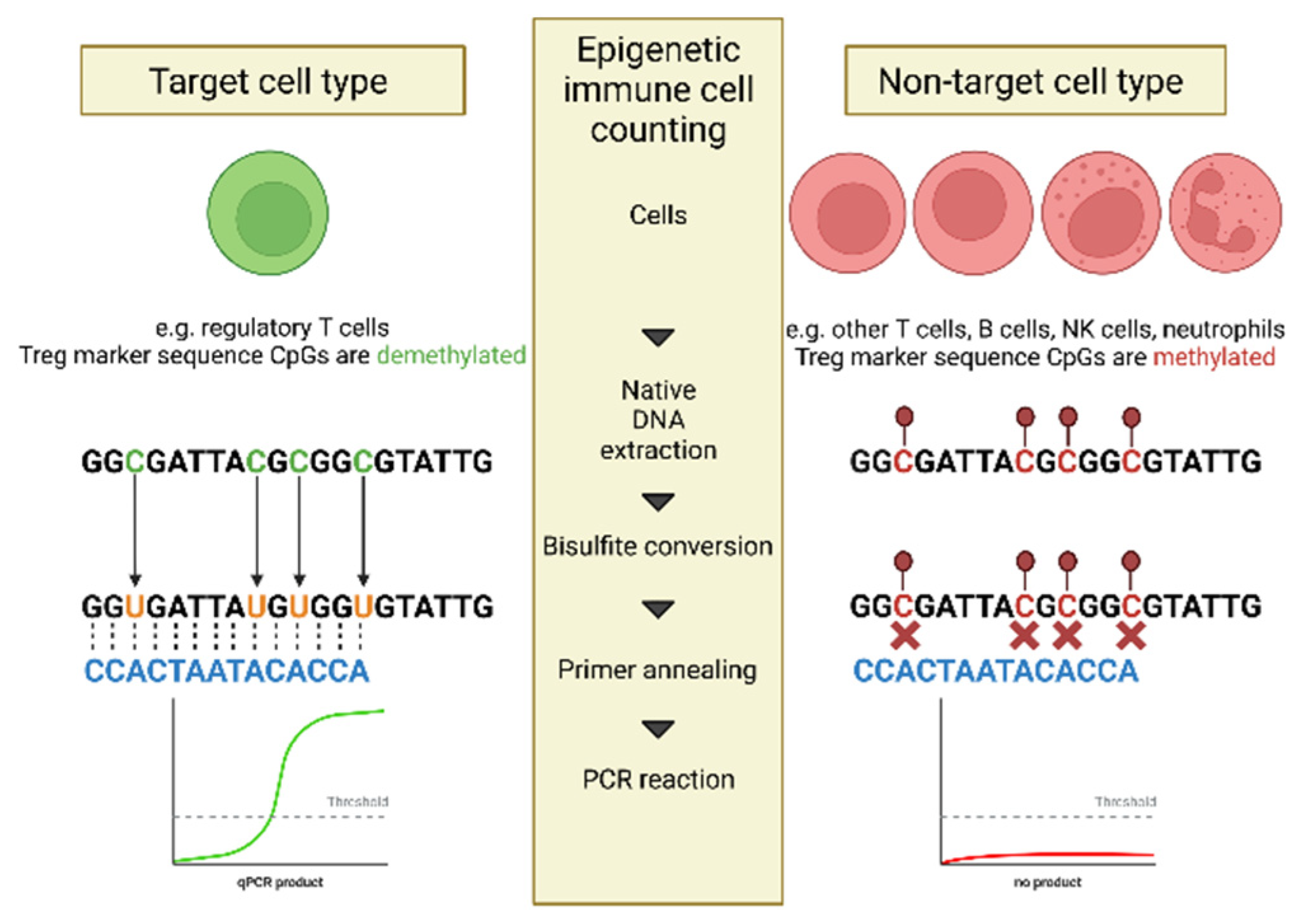 IJMS | Free Full-Text | Epigenetic Immune Cell Counting to Analyze ...
