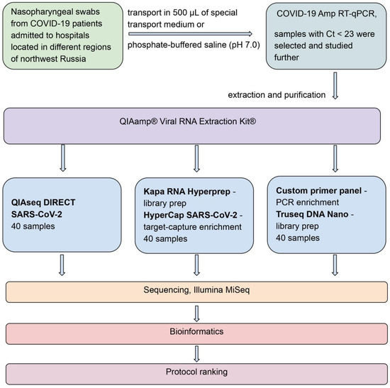 Comparative Analysis of Library Preparation Approaches for SARS-CoV-2 ...