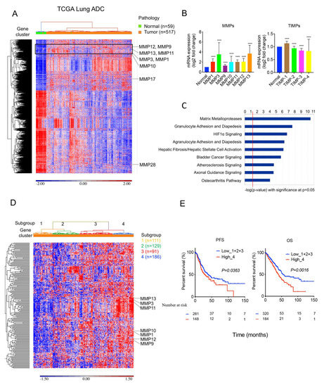 Matrix Metallopeptidase-Gene Signature Predicts Stage I Lung Adenocarcinoma Survival Outcomes