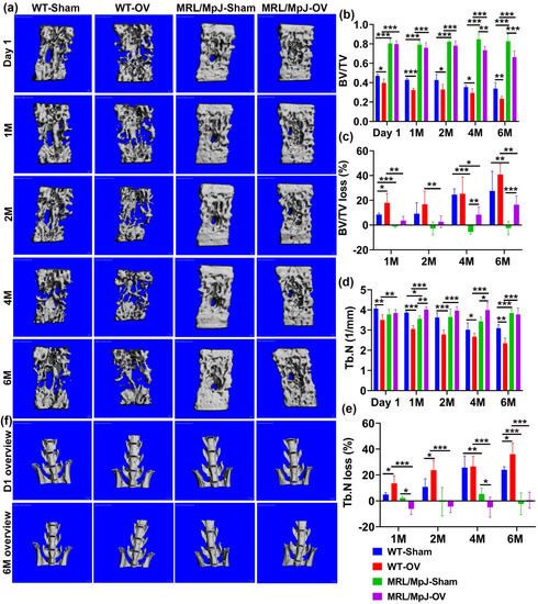 MRL/MpJ Mice Resist to Age-Related and Long-Term Ovariectomy-Induced ...