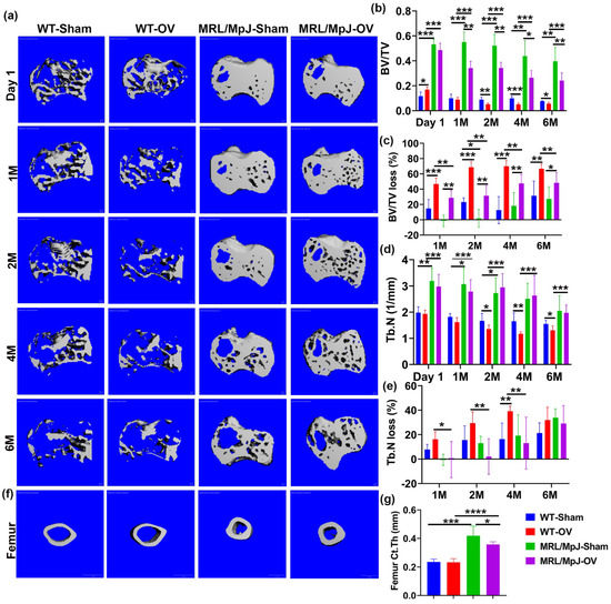 MRL/MpJ Mice Resist to Age-Related and Long-Term Ovariectomy-Induced ...