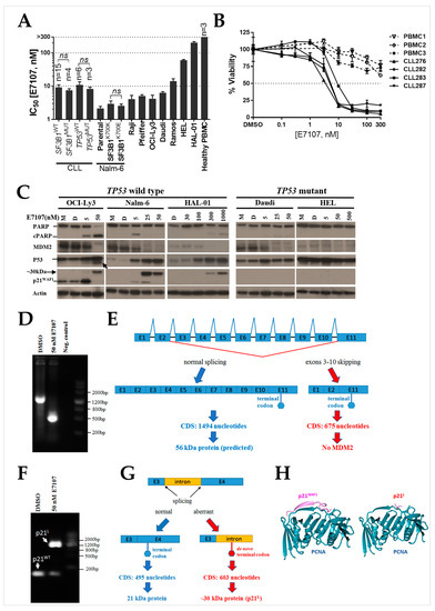 Splicing Modulation Results in Aberrant Isoforms and Protein Products ...