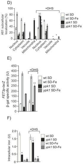 Aft1 Nuclear Localization and Transcriptional Response to Iron ...
