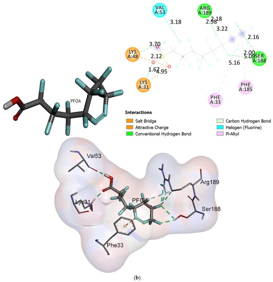 Toxicity Effects of Perfluorooctanoic Acid (PFOA) and Perfluorooctane ...