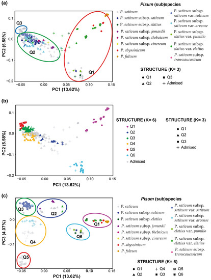 IJMS | Free Full-Text | Genetic Diversity and Population Structure of a ...