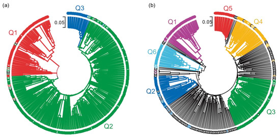 Genetic Diversity and Population Structure of a Wide Pisum spp. Core ...