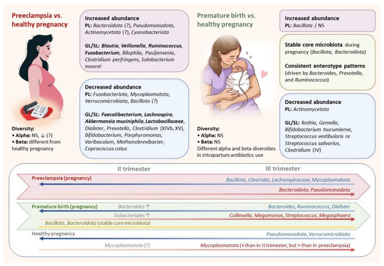 Necrotizing Enterocolitis: The Role of Hypoxia, Gut Microbiome, and ...