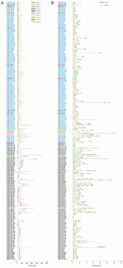 Genome-Wide Identification and Transcriptional Analysis of the MYB Gene Family in Pearl Millet ...