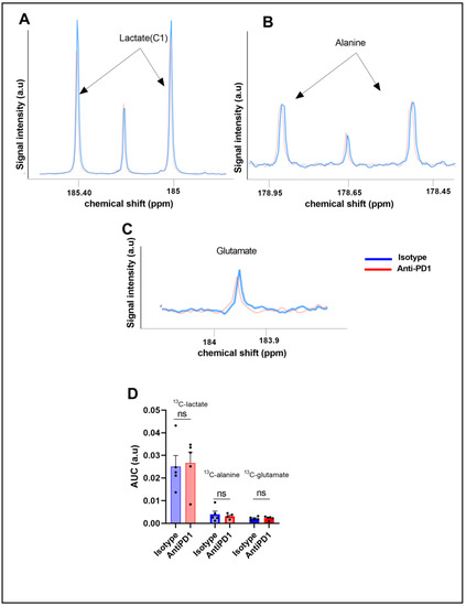 IJMS | Free Full-Text | Hyperpolarized 13C-Pyruvate to Assess Response ...
