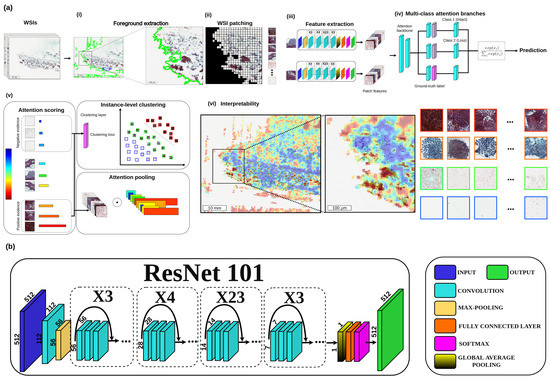 Annotation-Free Deep Learning-Based Prediction of Thyroid Molecular ...