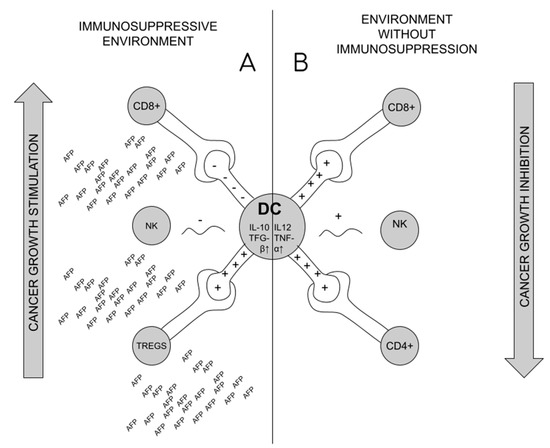 IJMS | Free Full-Text | The Role of Alpha-Fetoprotein (AFP) in ...
