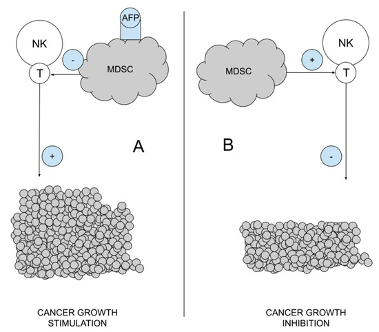 The Role of Alpha-Fetoprotein (AFP) in Contemporary Oncology: The Path ...