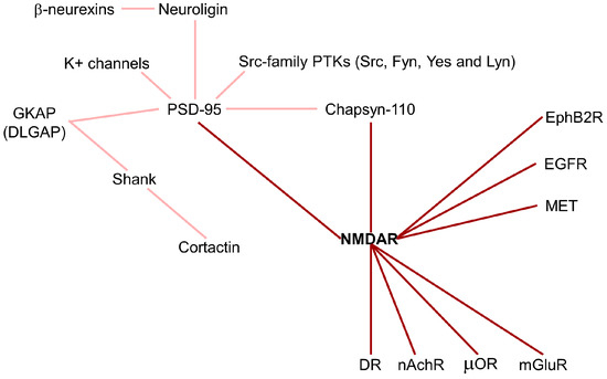 NMDA Receptor and Its Emerging Role in Cancer