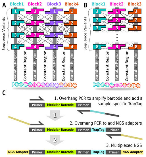 Scalable Combinatorial Assembly of Synthetic DNA for Tracking Applications