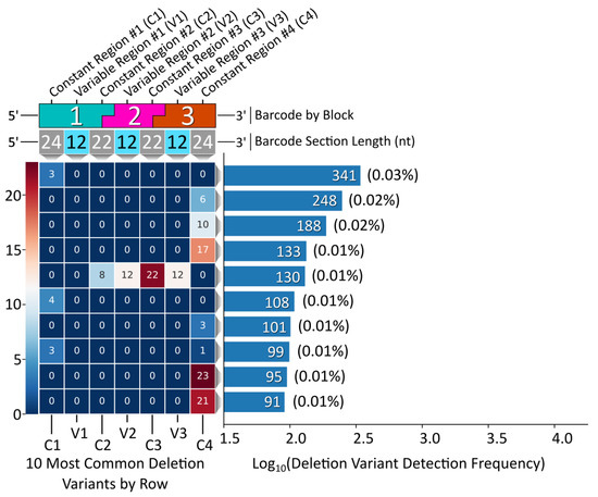 Scalable Combinatorial Assembly of Synthetic DNA for Tracking Applications