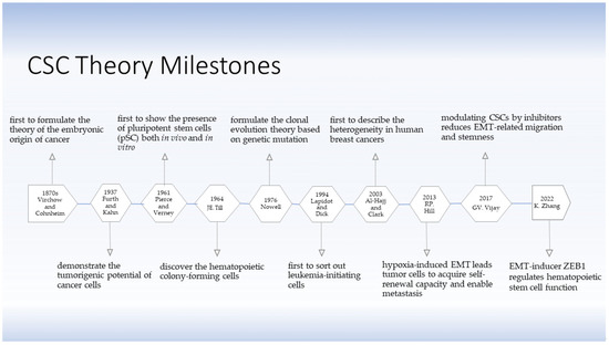 The Significance of Cancer Stem Cells and Epithelial–Mesenchymal ...