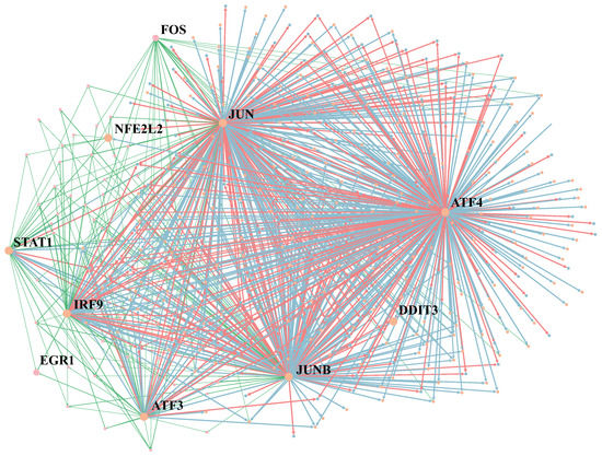 MetaSEM: Gene Regulatory Network Inference from Single-Cell RNA Data by ...