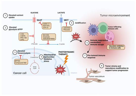 Modulating Glycolysis to Improve Cancer Therapy