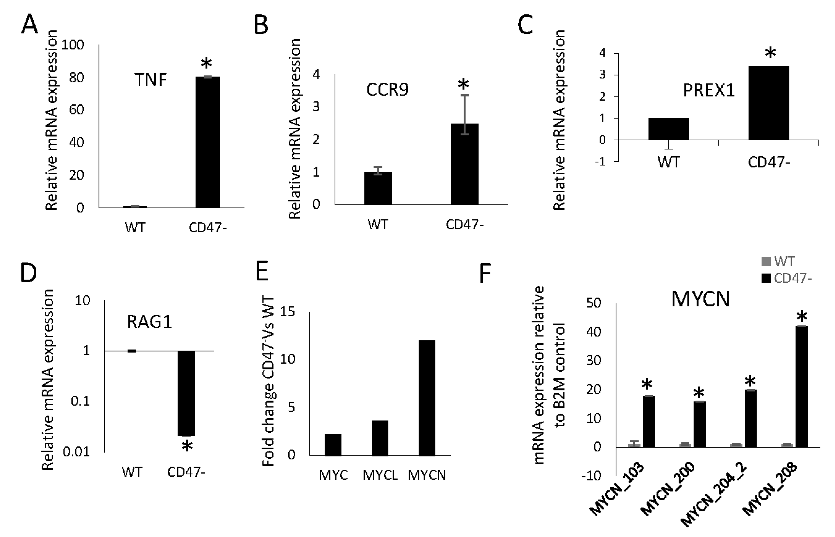 Ijms Free Full Text Cd47 Dependent Regulation Of Immune Checkpoint