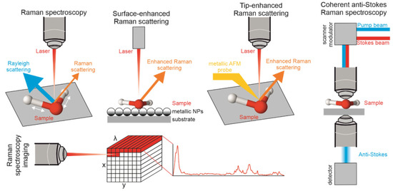Application of Vibrational Spectroscopic Techniques in the Study of the ...