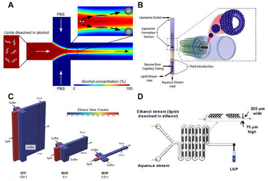 Liposomes for Tumor Targeted Therapy: A Review