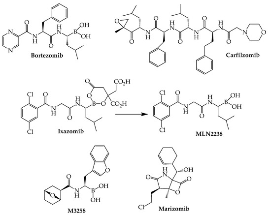 Recent Advances in the Applications of Small Molecules in the Treatment ...