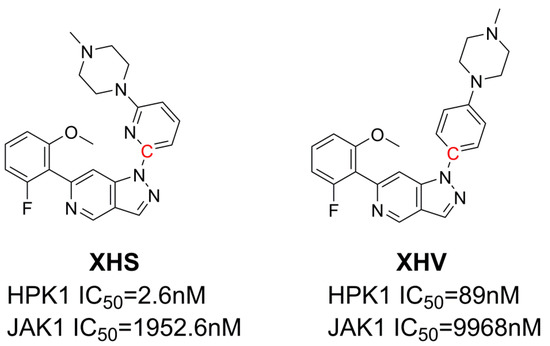 IJMS | Free Full-Text | Theoretical Studies on Selectivity of HPK1/JAK1 Inhibitors by Molecular ...