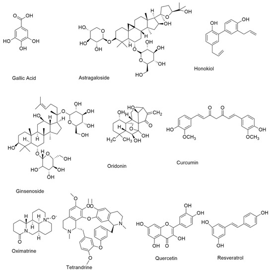 Small Molecule EGFR Inhibitors as Anti-Cancer Agents: Discovery ...