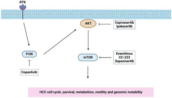 The Role of PI3K/AKT/mTOR Signaling in Hepatocellular Carcinoma Metabolism