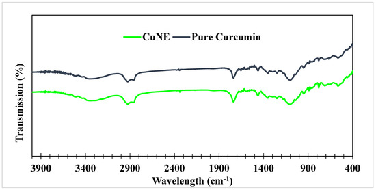 Prospect of Bioactive Curcumin Nanoemulsion as Effective Agency to Improve Milk Based Soft ...