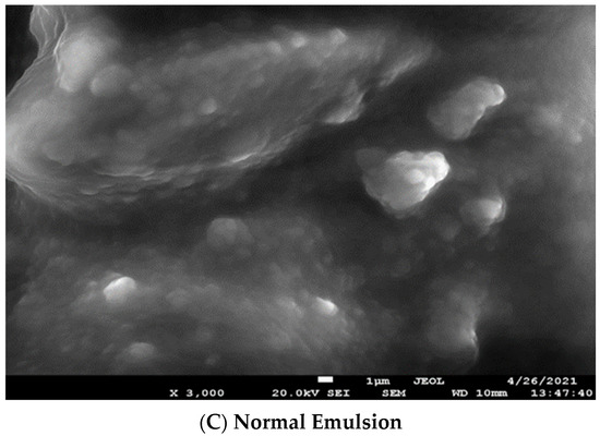 Prospect of Bioactive Curcumin Nanoemulsion as Effective Agency to ...