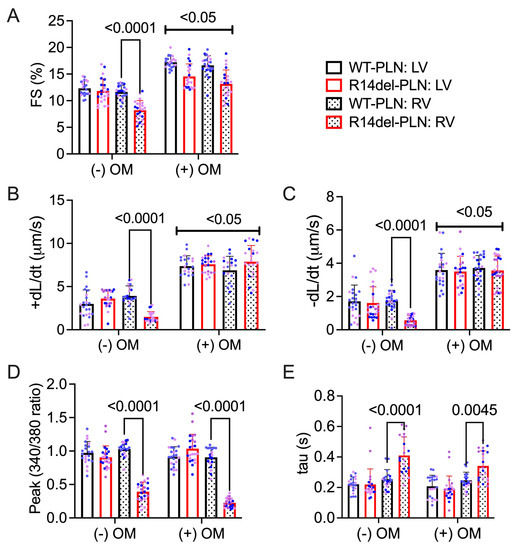 Myofilament Alterations Associated with Human R14del-Phospholamban ...