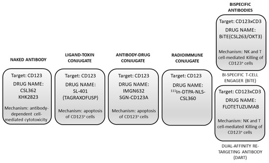 IJMS | Free Full-Text | CD123 a Therapeutic Target for Acute Myeloid ...