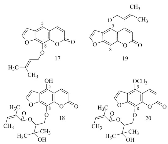 Natural Inhibitors of Cholinesterases: Chemistry, Structure–Activity ...